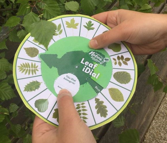 leaf-idial-wtml-580x495 - less stuff - decluttering for non minimalists